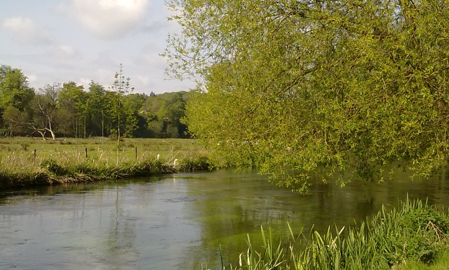 Environment Agency river network data project