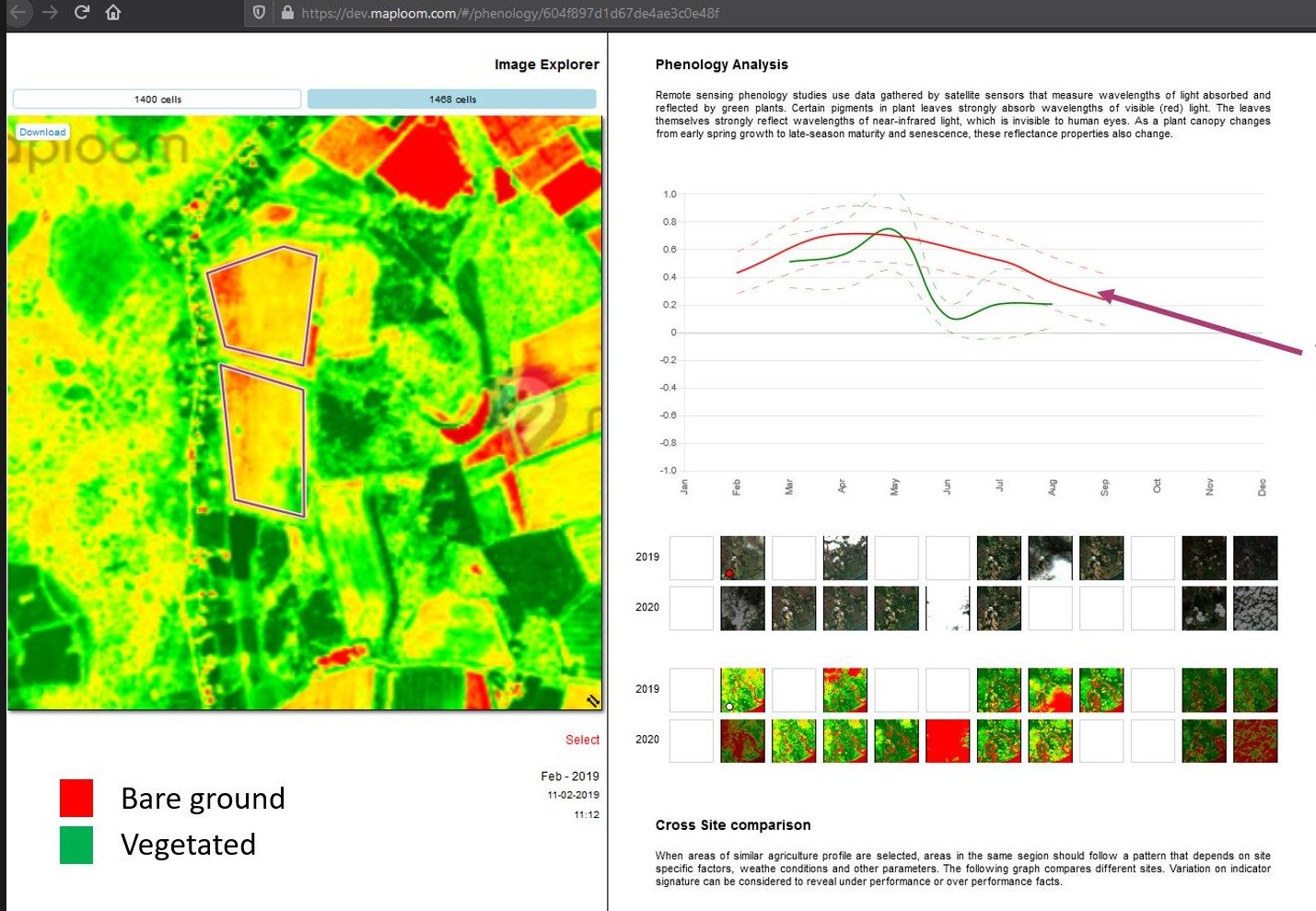 earth observation data and services